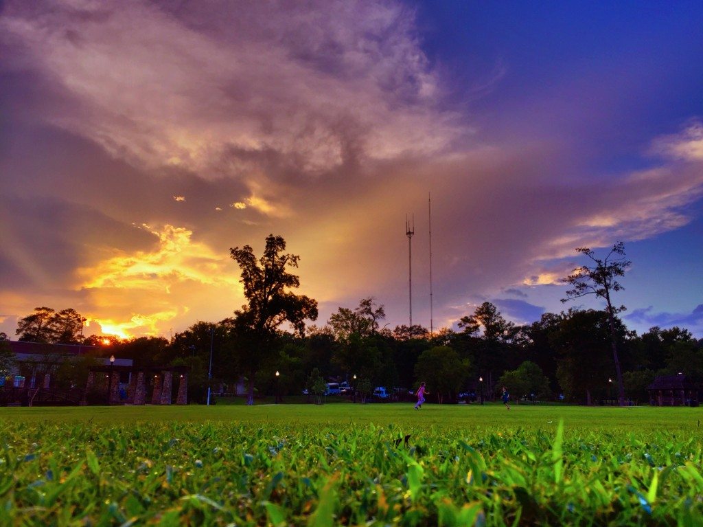 Sunset at Homewood Park | Picture Birmingham