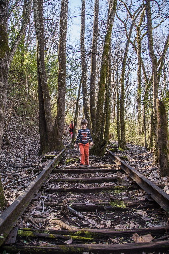 2/18/16 – The Tracks at Red Mountain Park | Picture Birmingham