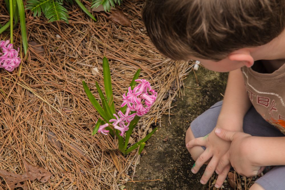 Botanical Gardens in Early Spring | Picture Birmingham