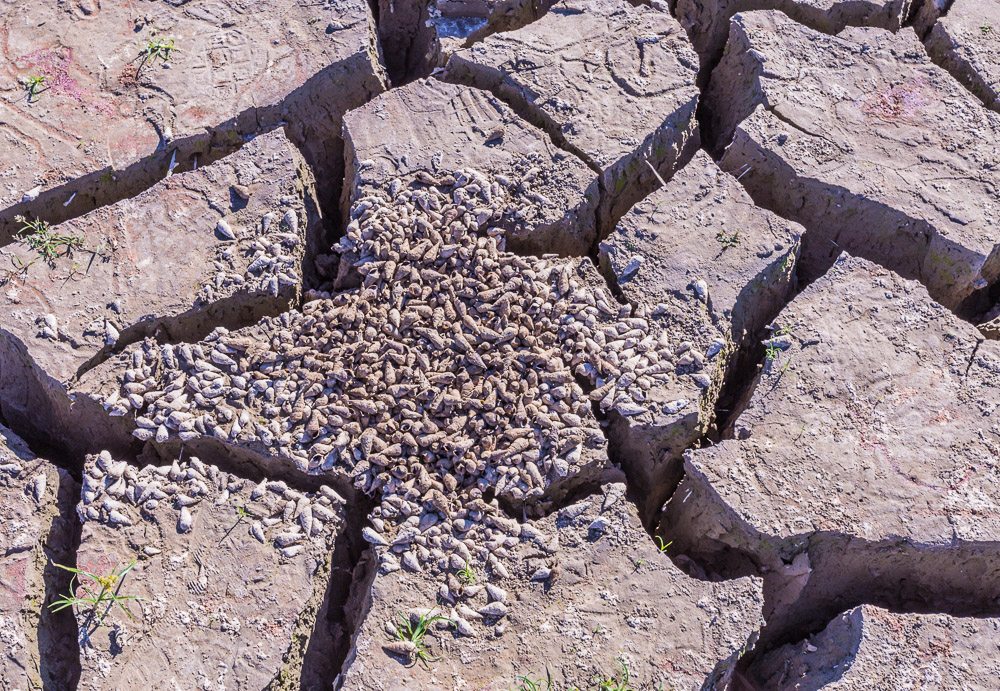 11/4/16 – Alabama Drought: Lake Purdy | Picture Birmingham