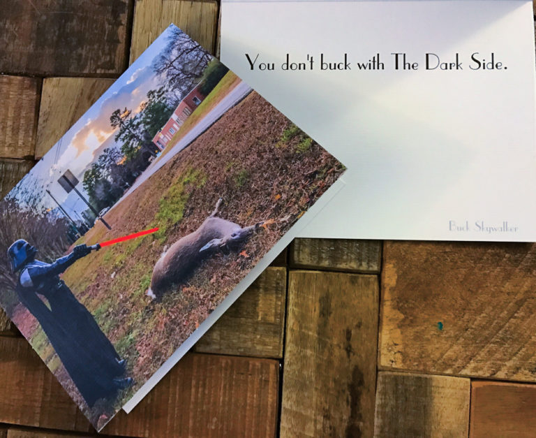 Roadkill Note Cards
