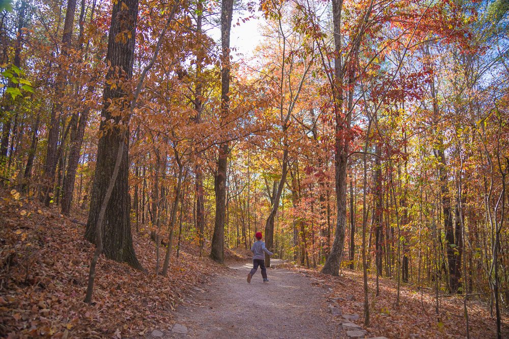 11/22/16 – Adventures at Red Mountain Park | Picture Birmingham
