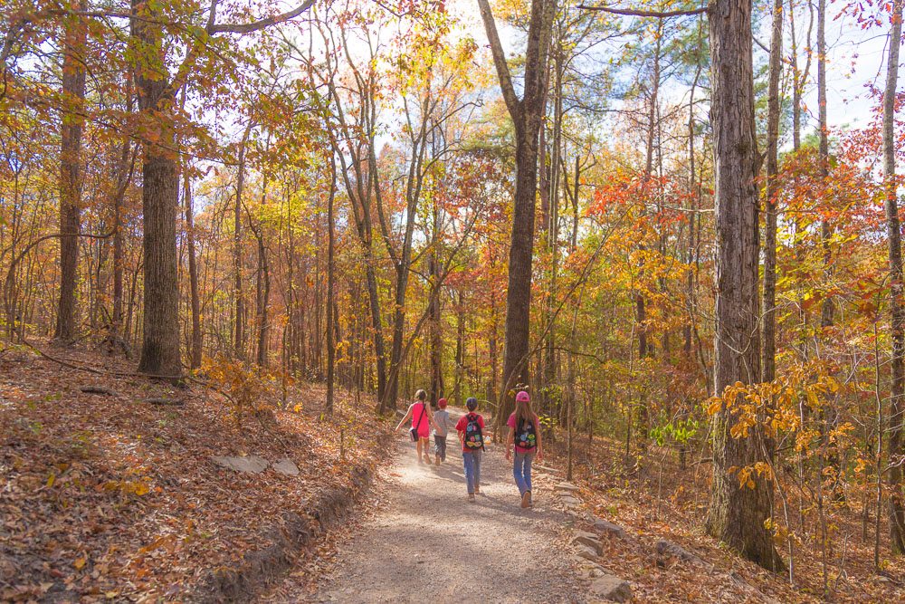 11/22/16 – Adventures at Red Mountain Park | Picture Birmingham