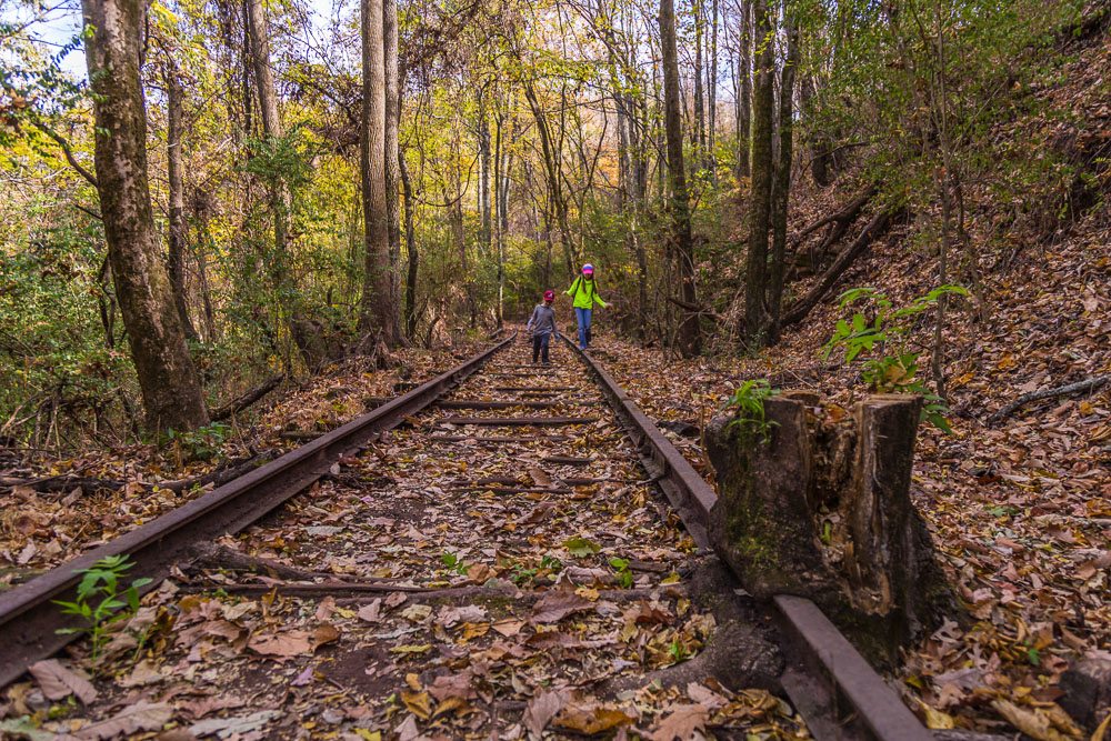 11/22/16 – Adventures at Red Mountain Park | Picture Birmingham