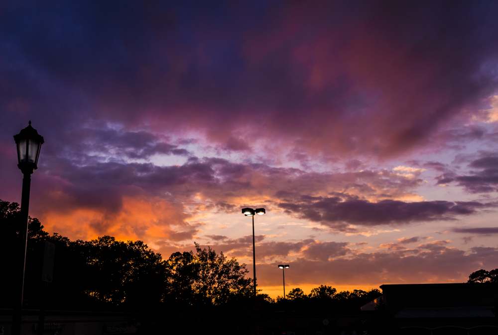 11/2/17 – Tree Swing in the Sunset | Picture Birmingham