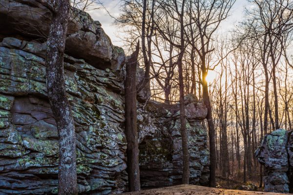 2/9/18 – Adventure at Horse Pens 40 | Picture Birmingham