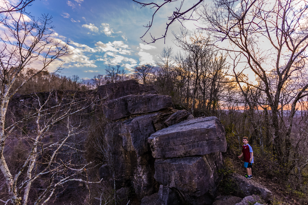 2/20/18 – A Night Well Spent at Ruffner Mountain | Picture Birmingham